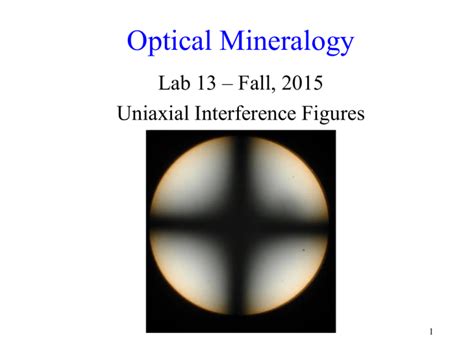 Uniaxial Interference Figures