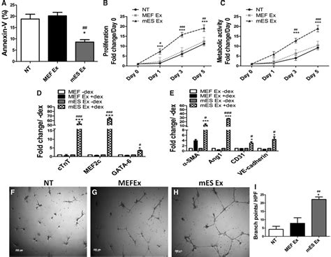 Embryonic Stem Cellderived Exosomes Promote Endogenous Repair