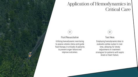 Cardiovascular Hemodynamics Ppt Sample Acp Ppt Powerpoint