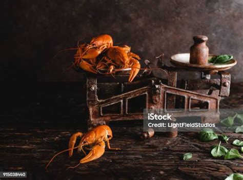 빈티지에 맛 있는 바닷가재의 근접 보기 크기를 조정 하 고 소박한 나무 테이블에 바 질 잎 건강한 식생활에 대한 스톡 사진 및