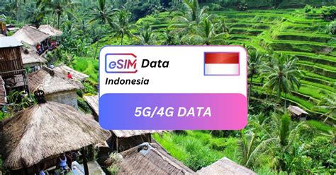 Ubud Indonesia Seamless Esim Data Plan For Travelers Getyourguide