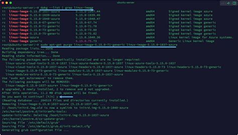 如何在 Ubuntu 中删除多余内核 3种ubuntu卸载内核的技巧ubuntudebian操作系统脚本之家