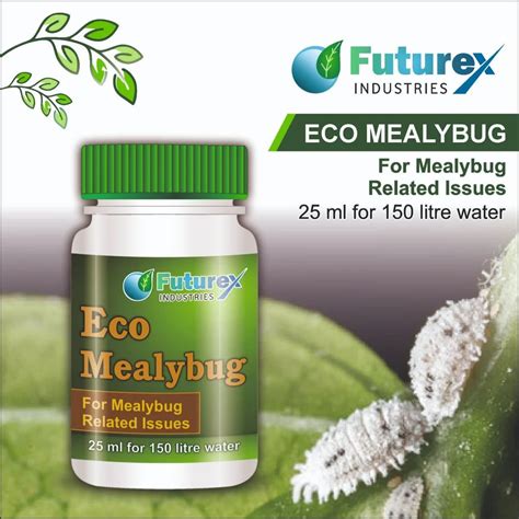 Mealy Bug Pesticide Packaging Size 25 Ml At ₹ 145ml In Ahmedabad