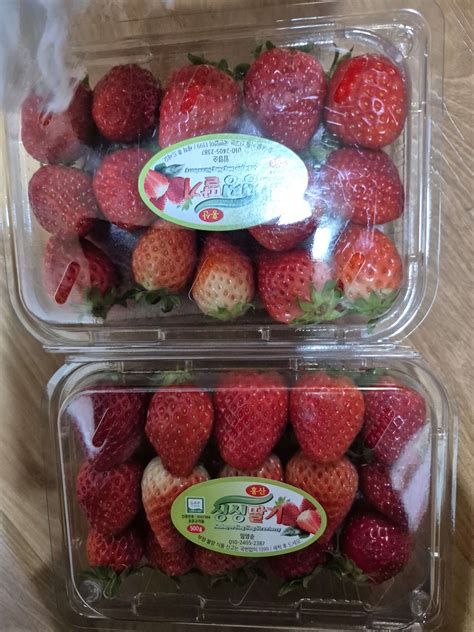 반복되는 일상생활 낯에 누님의 딸기선물줘서 잘먹었네요 포동 커뮤니티