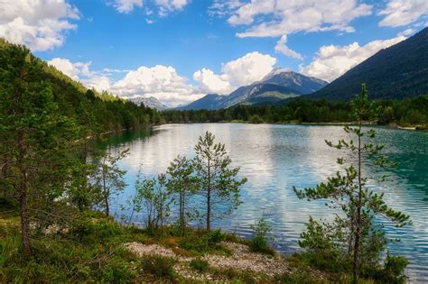 Danau Tepi Sungai Pohon Muda Foto Gratis Di Pixabay Pixabay
