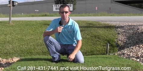 Why Buy Texturf 10 Bermuda Grass Houston Pearland Sugar Land