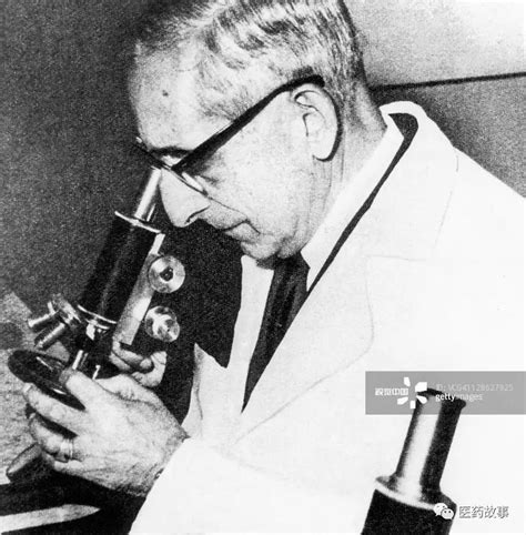 80 河流之净——头孢菌素的发现 知乎