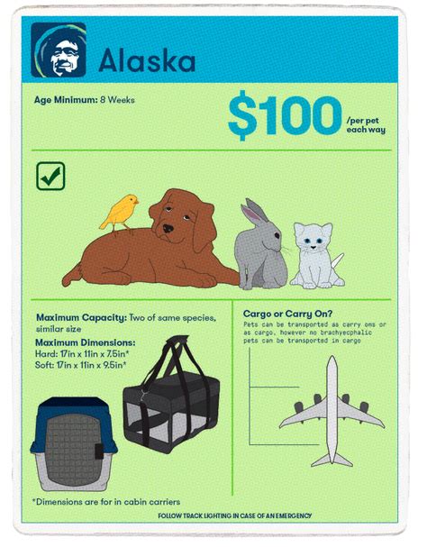 The Best Airlines For Pet Travel