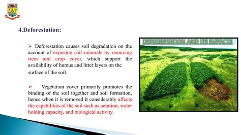 Sustainable Soil Fertility Management Pptx