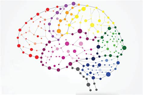 a connectome for cognition mit mcgovern institute