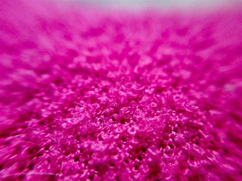 Pink Sweater Macro Free Photo On Pixabay Pixabay