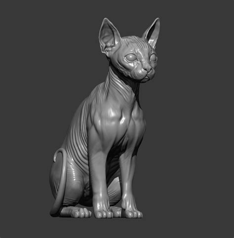 Stl File Sphinx Cat 3d Print Model 🐱・3d Printer Model To Download・cults