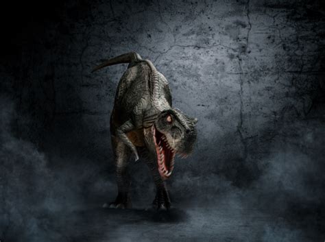 Dinos Experience Chega Ao Rio De Janeiro Acesso Cultural