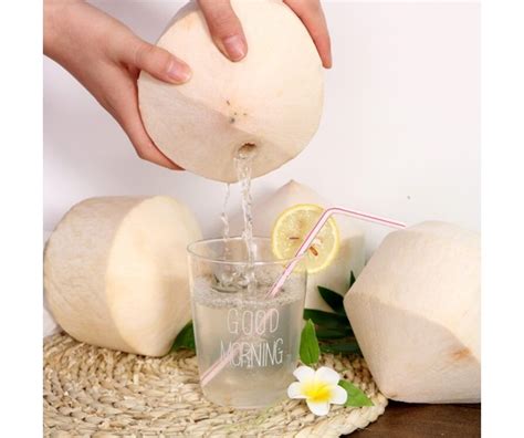 Musang King Durian Pulp Coconut Water Bundle Set A