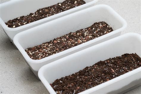 Seedkeeper