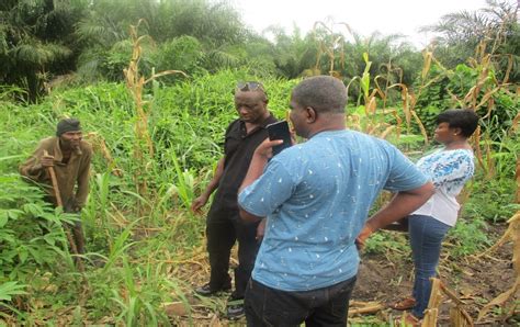 New Juaben North Municipal Assembly Department Of Agriculture