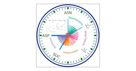 Molecular Modeling Of The Deamidation Reaction In Solution A