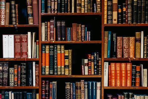 Teoria Das Relações Internacionais Guia De Estudos Completo 2024