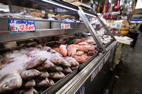 Aceitação do pescado certificado é tema de pesquisa de mercado desenvolvida pelo Instituto de