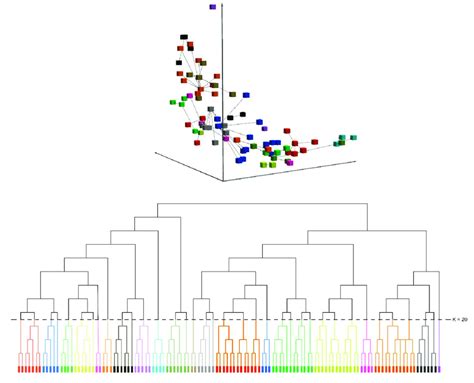 The Hierarchical Clustering Of The Pareto Front Solutions With A