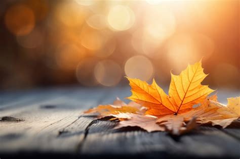 Hojas secas de otoño en deck de madera Foto Gratis