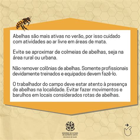 Picada De Abelhas Espírito Santo Registra Maior Número De óbito Dos