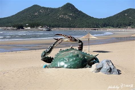 네이버 인플루언서