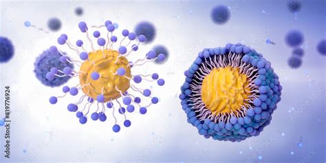 Soap Molecules Surrounding And Capturing Oily Particle Forming Micelles The Hydrophobic Tail Is