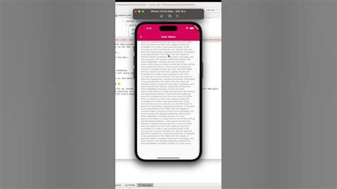 flutter create custom scroll view animation an image into an app bar