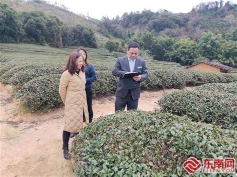农行莆田分行：金融活水浇灌乡村振兴之花 中国农业银行莆田市分行 东南网