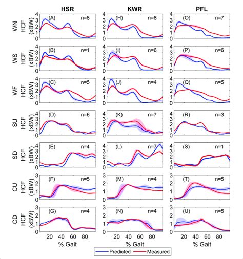 Measured And Predicted Hip Contact Forces During Activities For A G