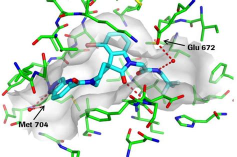 The Molecular Army Aka Habemus Ddr1 Inhibitor
