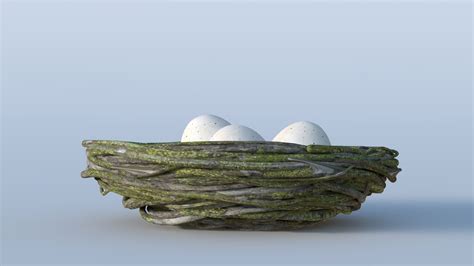 Bird Nest 3d Model 19 Max C4d Lwo Obj Fbx Dae 3ds Ma Free3d