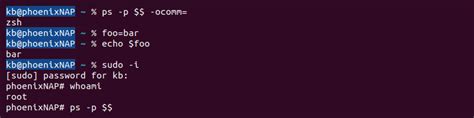 8 Types Of Linux Shells