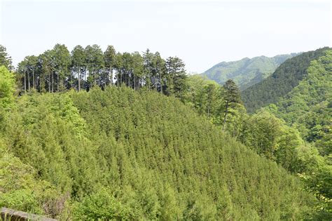 日本森林ボランティア協会 山部会10月は能勢行者山、剣尾山から横尾山周回路。12名参加。九時半準備体操で体をほぐし忘年間伐安全講習会宿舎
