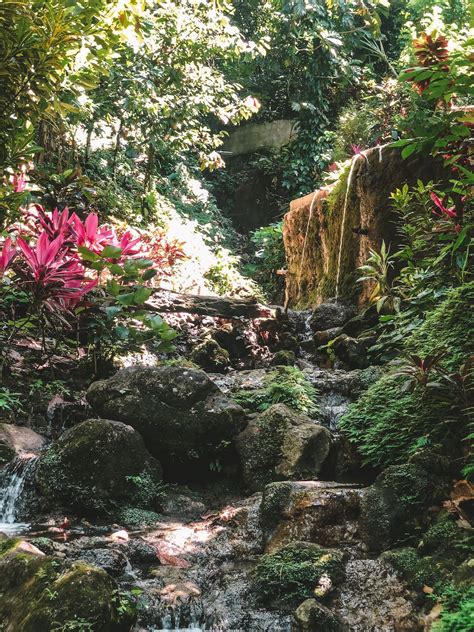 1 Week St Lucia Itinerary For Fun Relaxation Artofit