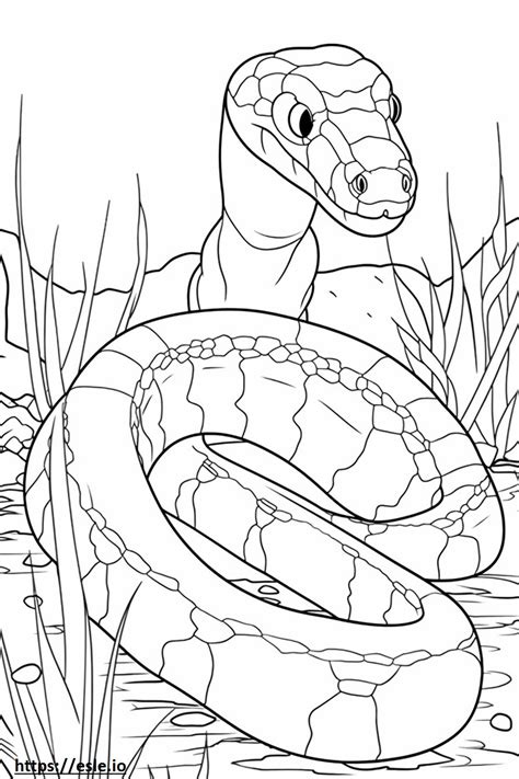 Burmese Python Cute Coloring Page