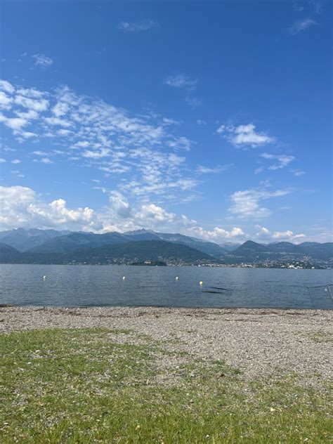 Tom Winter On Linkedin Gamedevelopment Gamedevjobs Gamingjobs Gamingrecruitment Mustardfx