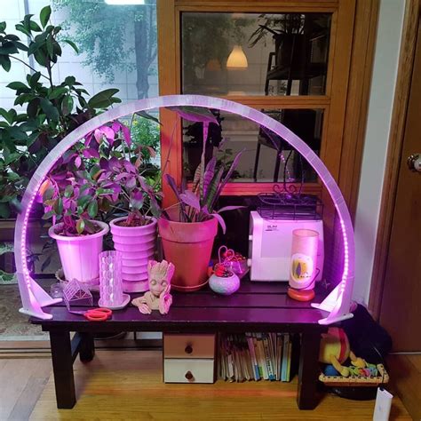 Heat Lamp For Plants Secrets And Properties