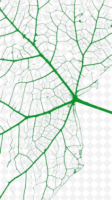 Leaf Veins Texture With Irregular Branching And Sparse Patte Nature