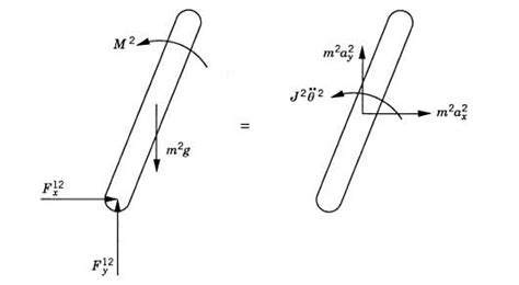 Free Body Diagrams For Constrained Rigid Multibody Dynamics