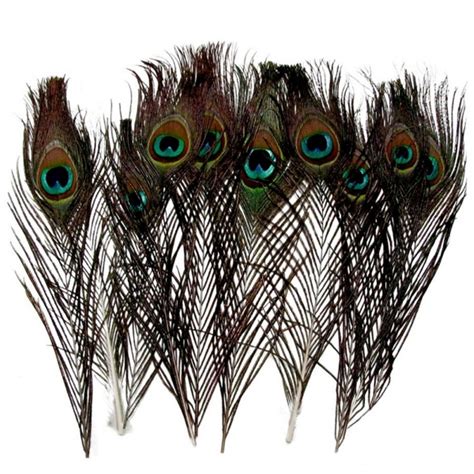 Peacock Decoration Etsy