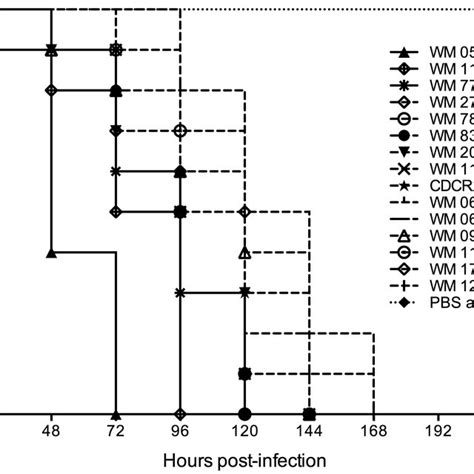 Laccase Activity Of Cryptococcus Gattii Strains With Different Level Of Download Scientific