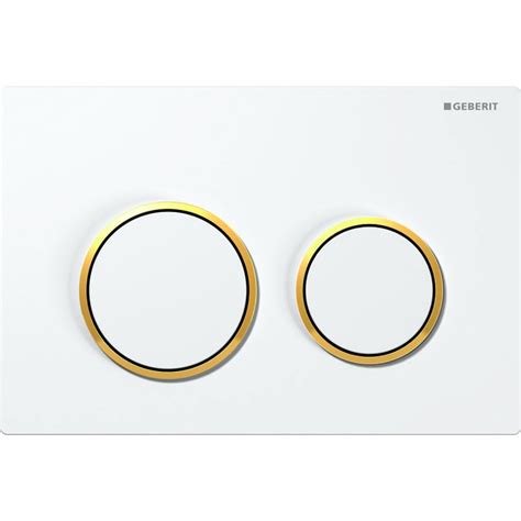 Plaque de déclenchement Geberit Omega20 pour rincage double touche