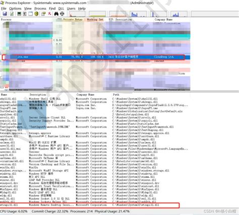 【cs架构安全测试】客户端应用程序测试测试项补充应用程序exe测试 Csdn博客