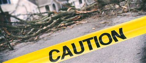 Everything You Need To Know Does Insurance Cover Wind Damage
