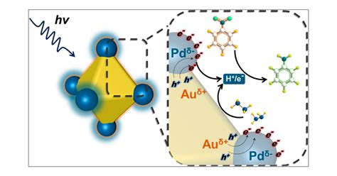 Site Selective Bimetallic Heterogeneous Nanostructures For Plasmon Enhanced Photocatalysis Of