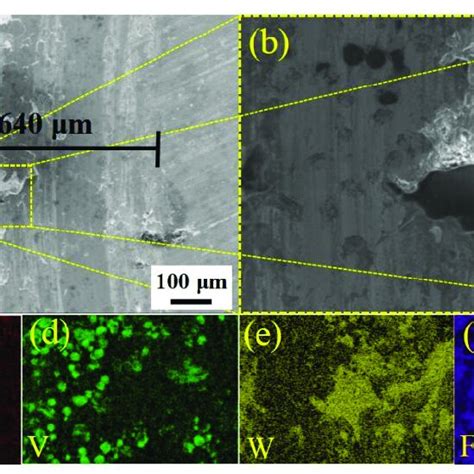 Sem Morphologies And The Corresponding Eds Elemental Distribution Of Download Scientific