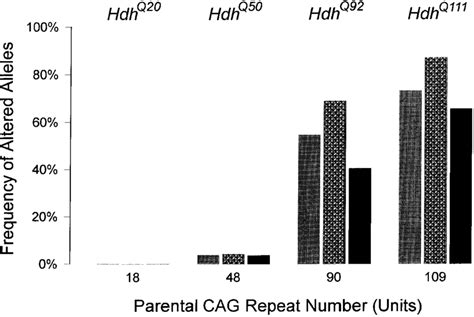 Frequency Of Altered Hd Cag Repeat Alleles Transmitted By Hdh Knock In
