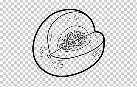 Honeydew Watermelon Cantaloupe Cucumis Png Clipart Area Artwork